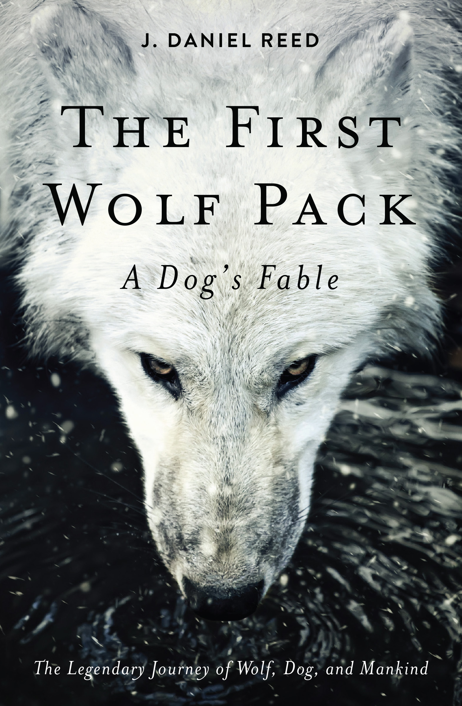The first Wolf Pack: A Dog’s Fable – Book Reader Magazine